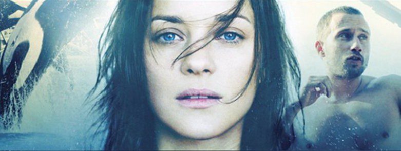 Rust and Bone: a film review