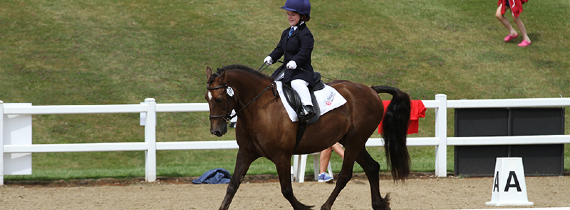 Accessible horse riding with the RDA | Disability Horizons