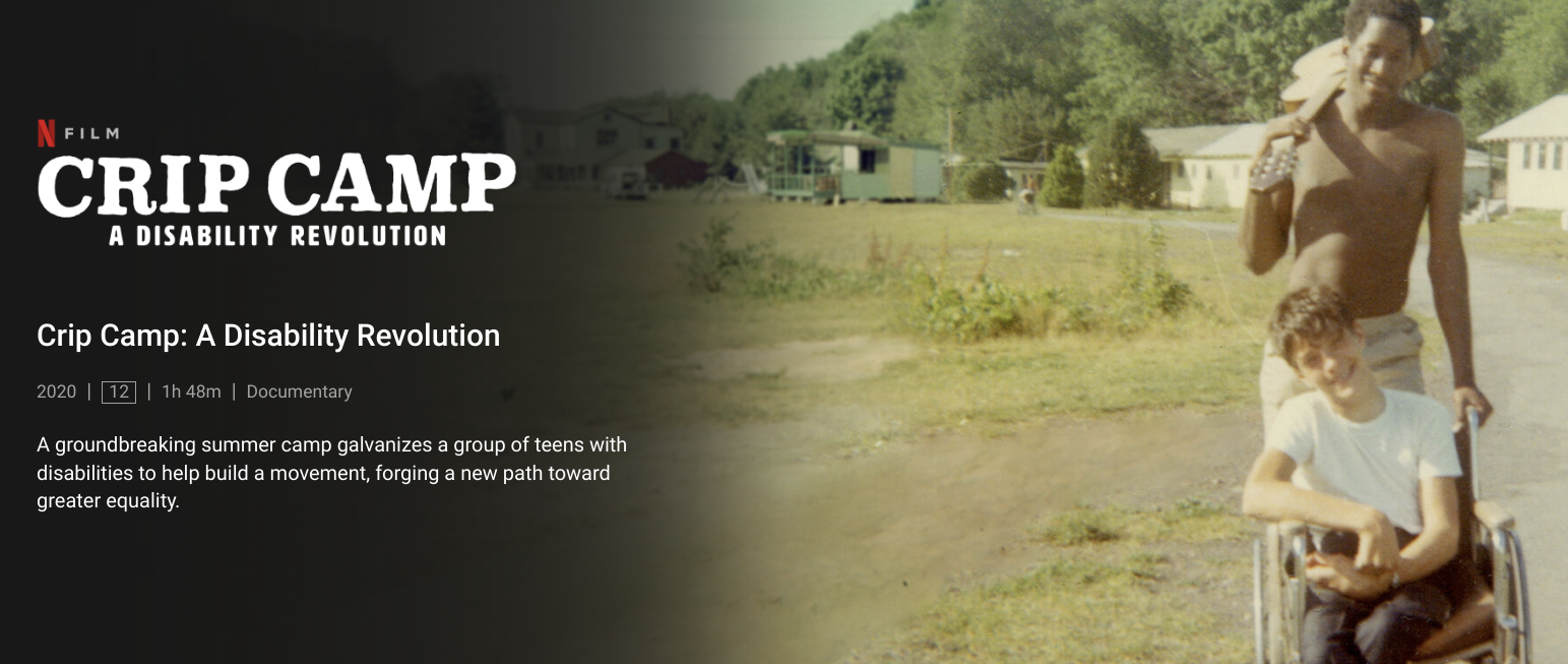 Netflix Originals With Disabled Actors And Characters